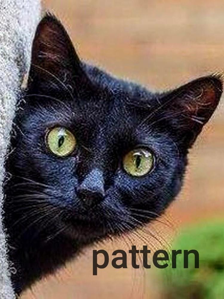 Curious Black Cat Pattern, UPDATED!, Pattern Keeper, Counted Cross ...
