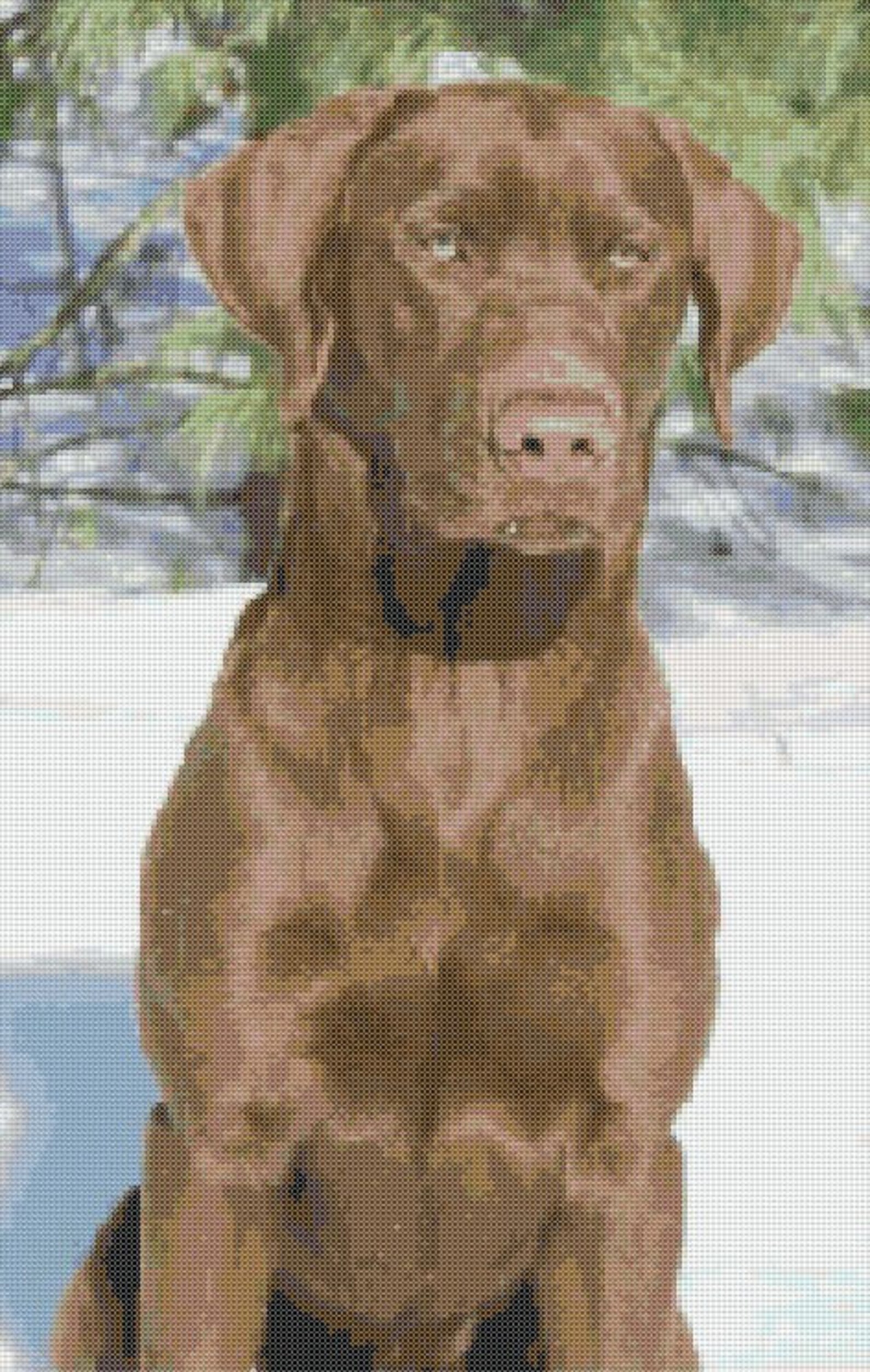 Chocolate Lab Cross Stitch Pattern, Pattern Keeper, Cross Stitch ...