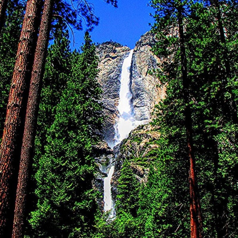 Forest Falls - Etsy