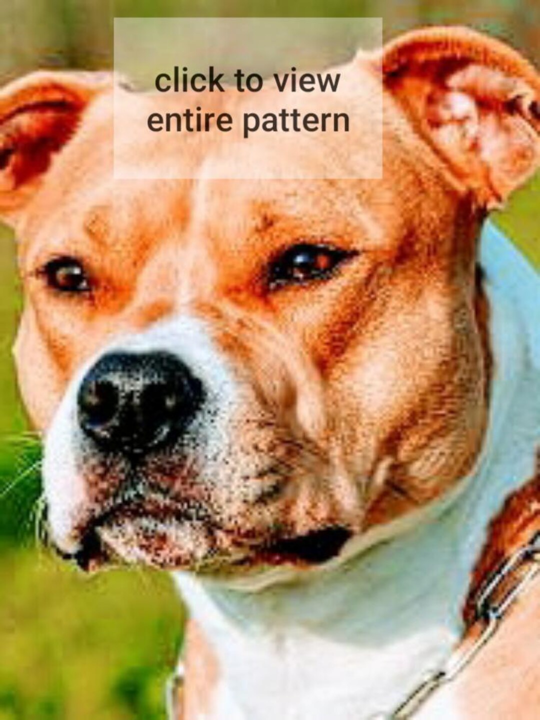 Brown and White Pitbull Face, Pattern Keeper, Dog Cross Stitch, Pitbull ...