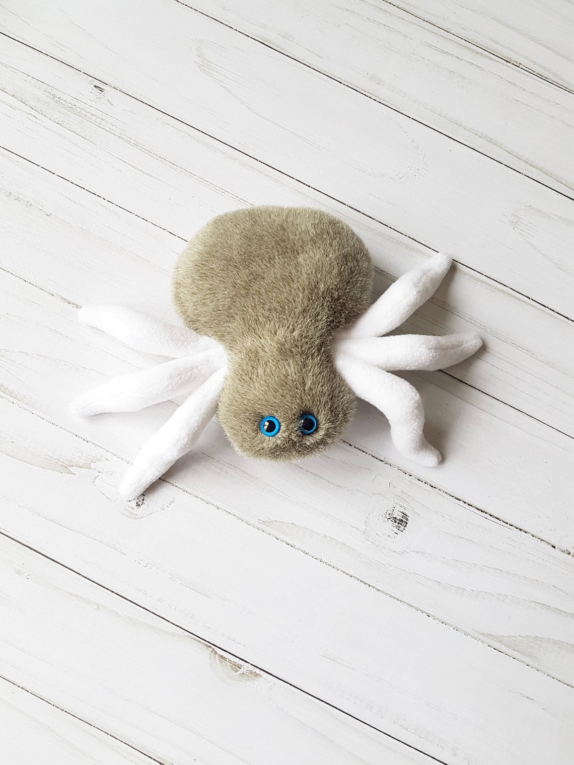 Cute grey spider toy Kids toys stuffed tarantula baby soft | Etsy