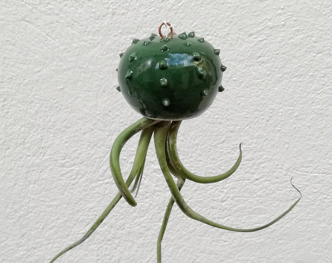 Vaso tillandsia Cactopus a forma di cactus porta piante aeree - Etsy Italia