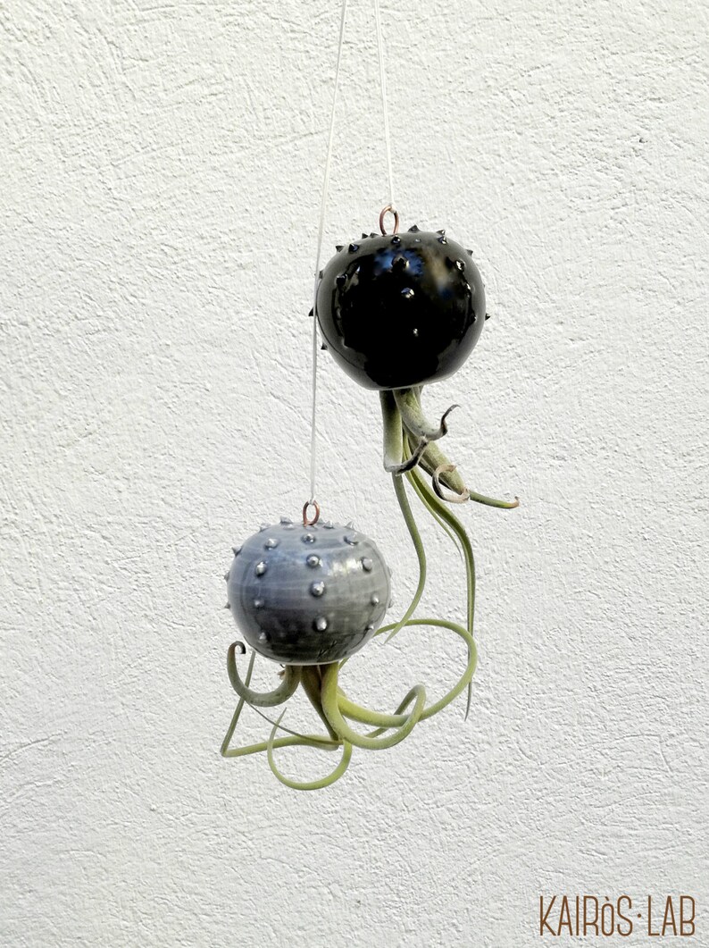 Small modern grey Cactopus vase design ceramic for tillandsia | Etsy