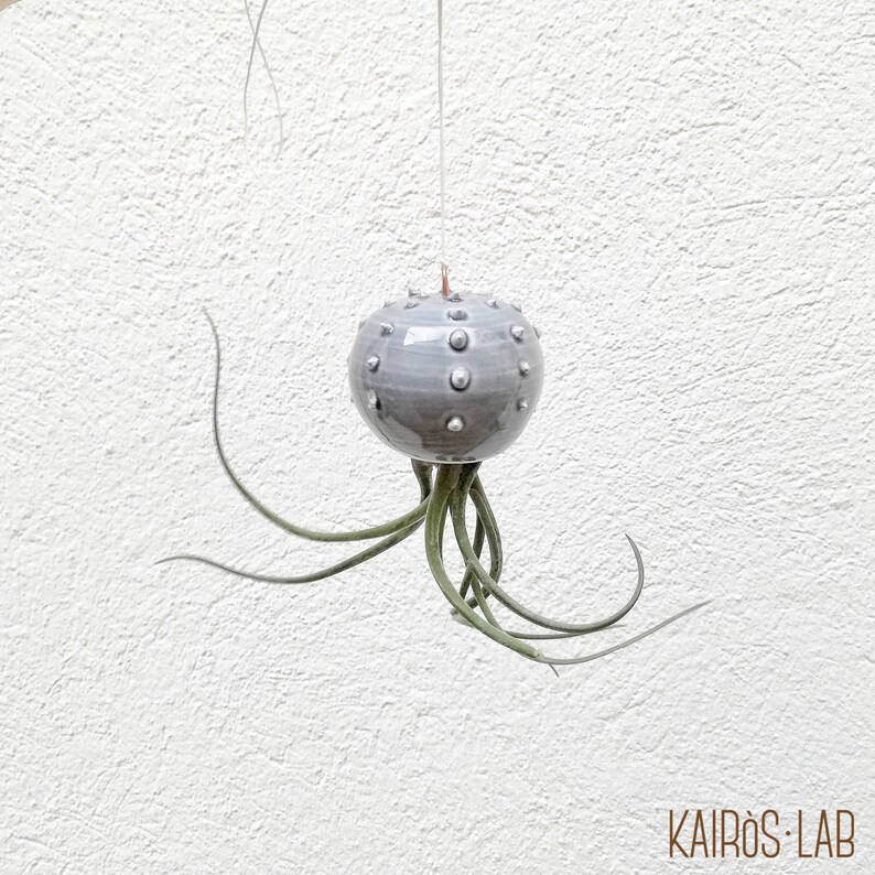 Small modern grey Cactopus vase design ceramic for tillandsia | Etsy