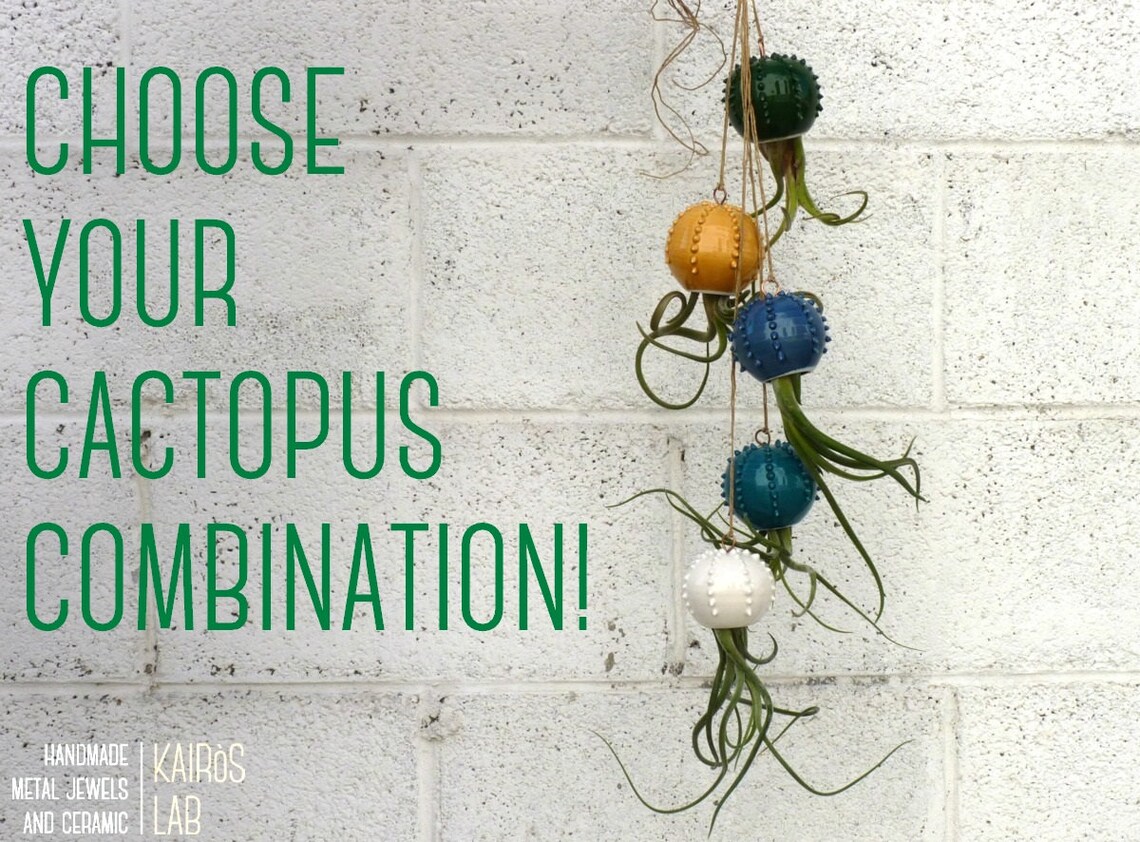 Vaso tillandsia Cactopus a forma di cactus porta piante aeree | Etsy