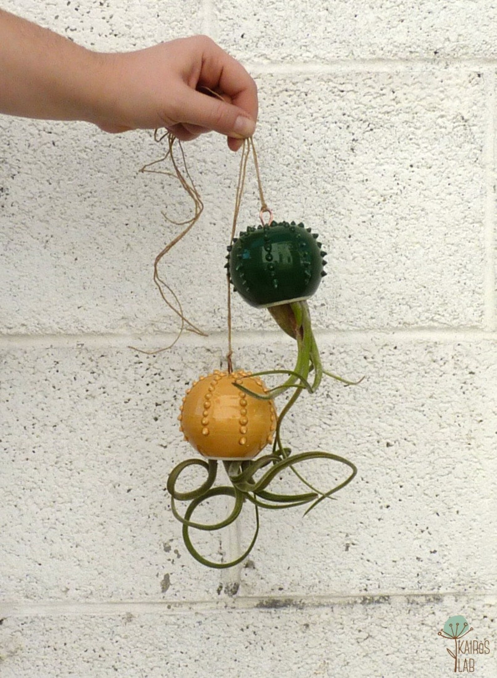 Vaso tillandsia Cactopus a forma di cactus porta piante aeree | Etsy