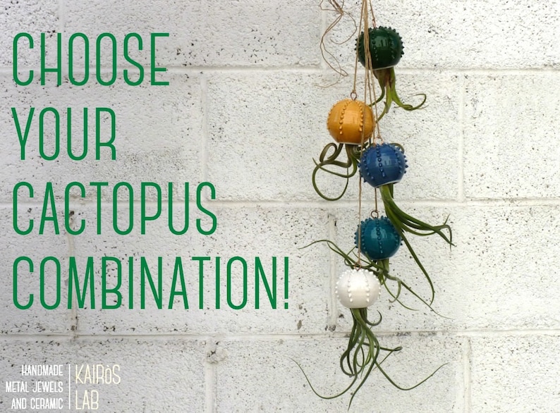 Small modern grey Cactopus vase design ceramic for tillandsia | Etsy