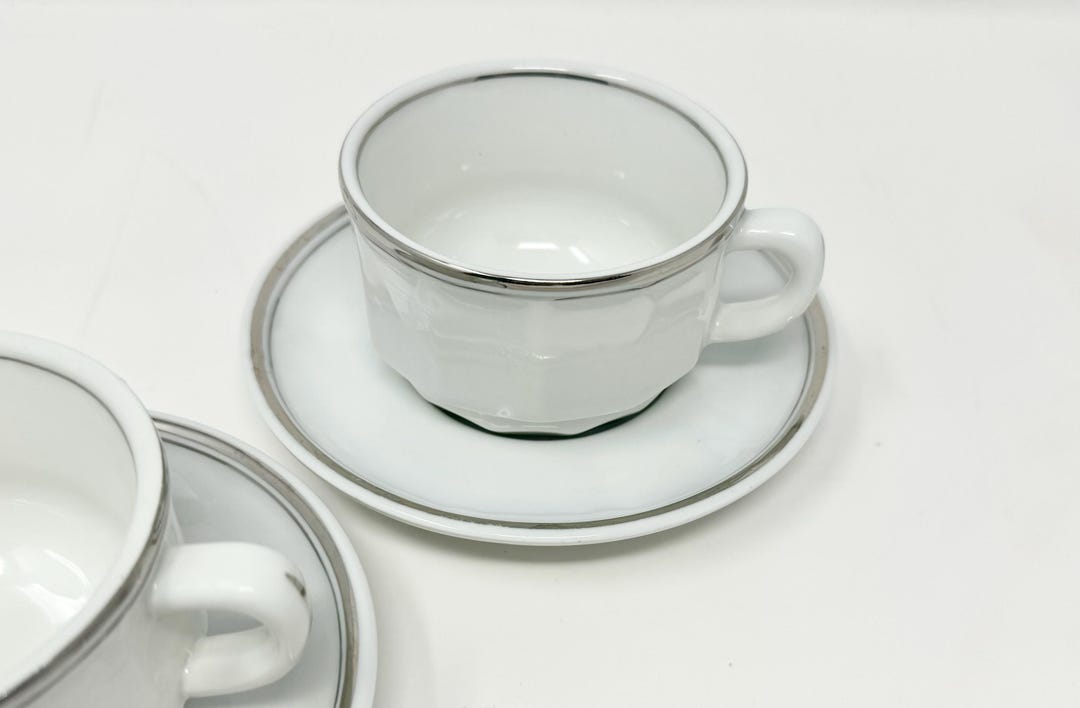 Small Apilco France Cup and Saucer Porcelain Bistro White and Platinum ...