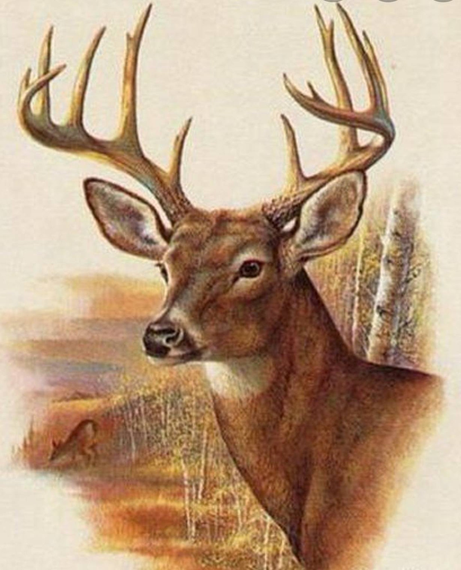 Whitetail Deer Engraving From Your Photo Best Gift for Your Daughter ...