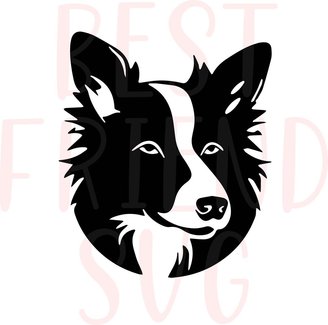 Border Collie Svg, Dog Svg, Instant Download, Png, Dxf, Eps, Svg Cricut ...