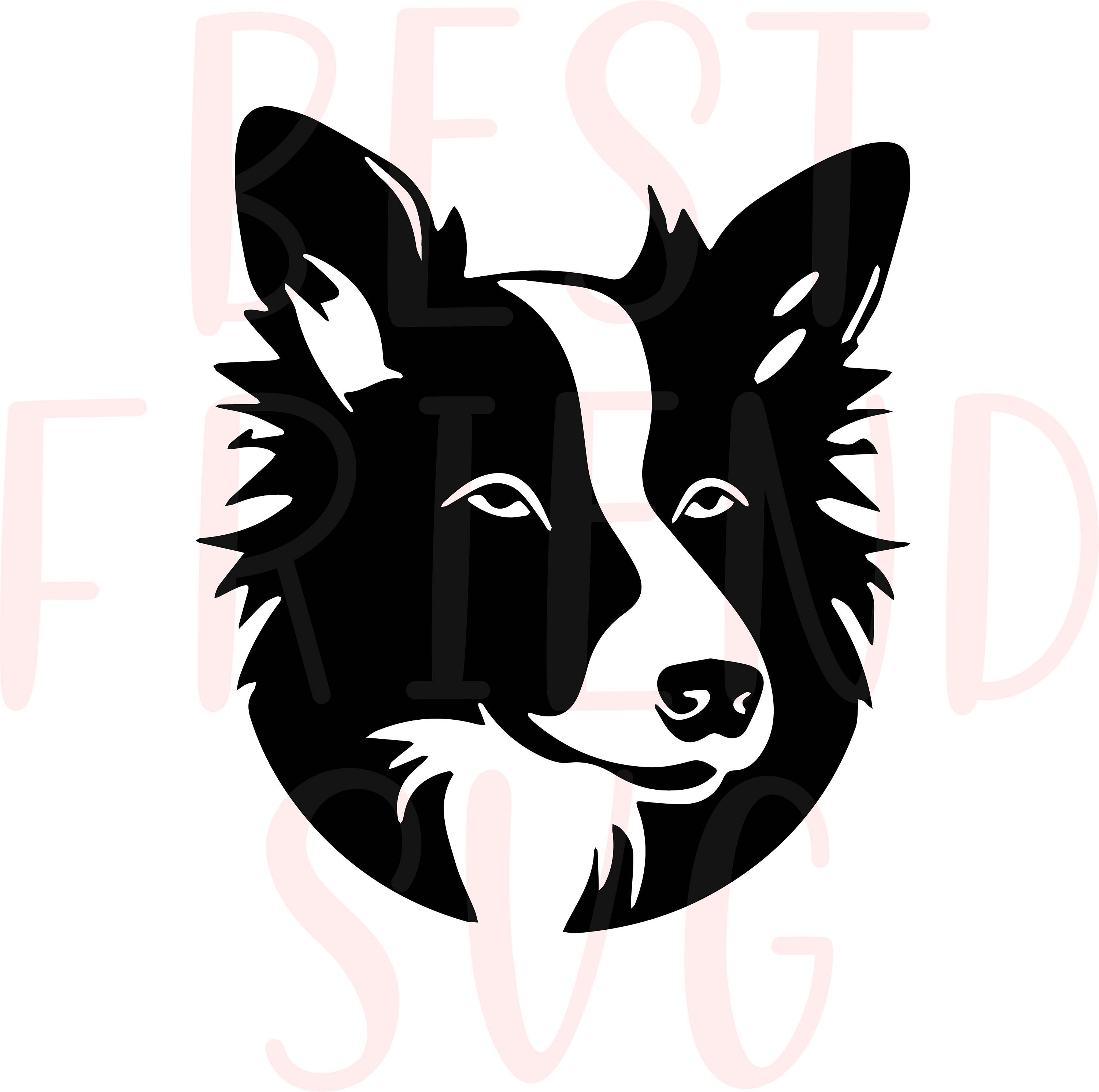 Border Collie Svg Dog Svg Instant Download Png Dxf Eps - Etsy Australia