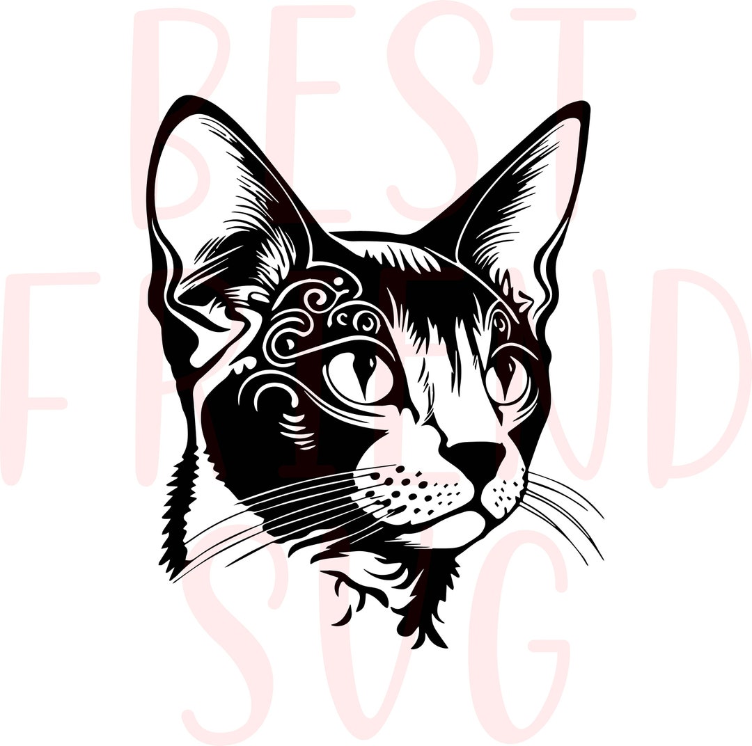 Beautiful Cat Svg File for Cricut and Silhouette, Cat SVG, Cat Head Svg ...