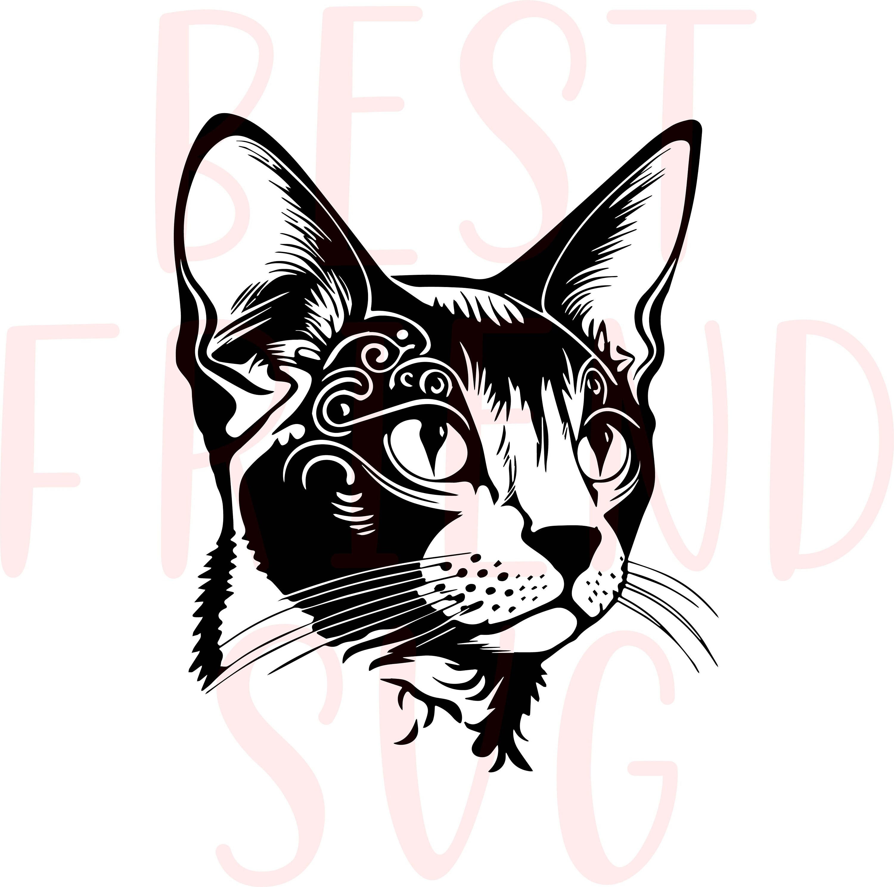 Beautiful Cat Svg File for Cricut and Silhouette Cat SVG Cat - Etsy