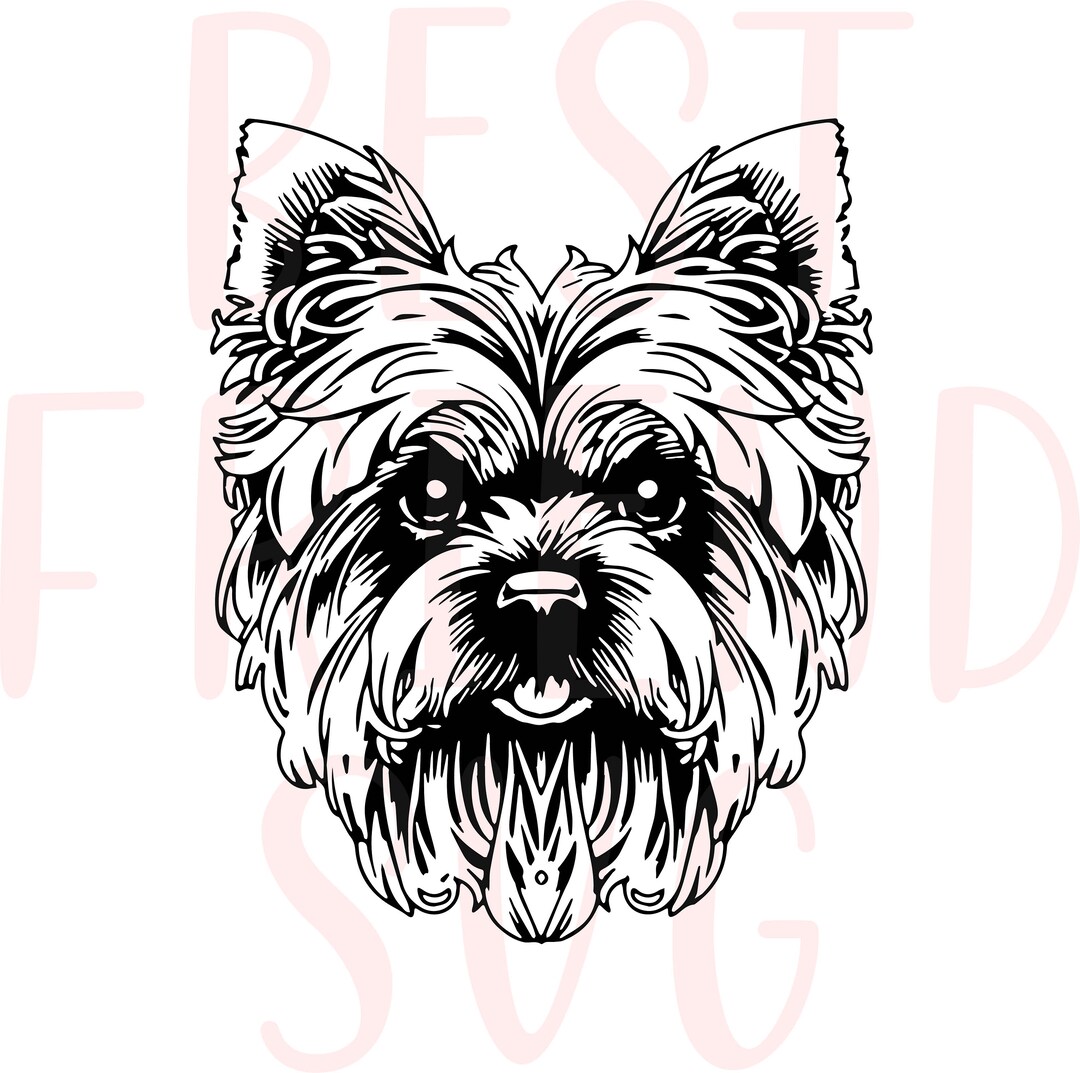 Yorkshire Terrier Svg, Dog Svg, Instant Download, Png, Dxf, Eps, Svg ...