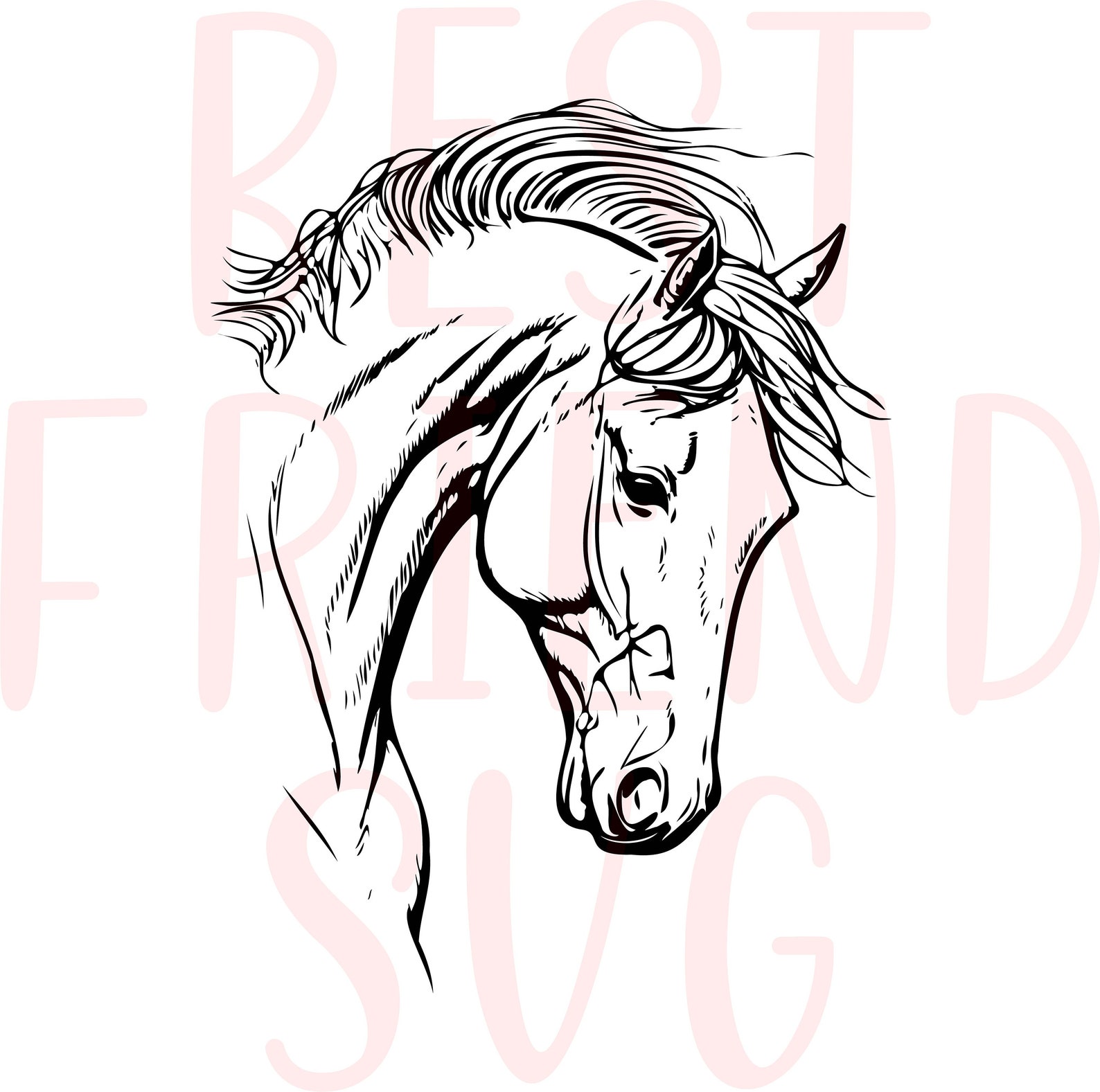 Beautiful Horse Svg File for Cricut and Silhouette Horse SVG - Etsy