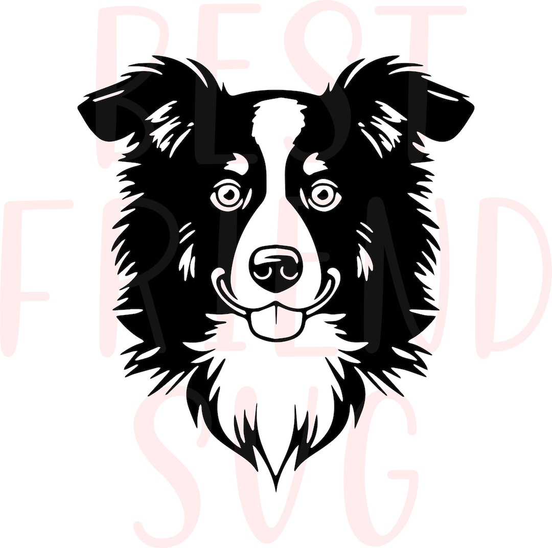 Border Collie Svg, Dog Svg, Instant Download, Png, Dxf, Eps, Svg Cricut ...