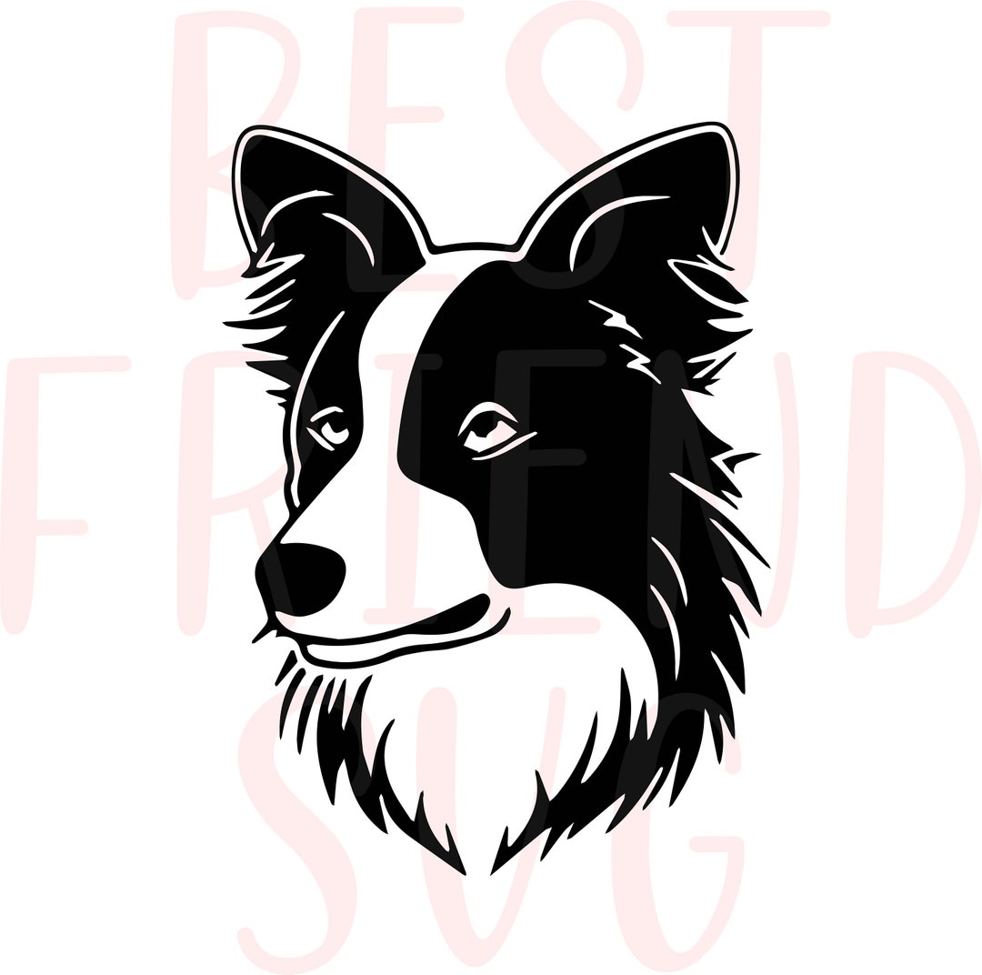 Border Collie Svg, Dog Svg, Instant Download, Png, Dxf, Eps, Svg Cricut ...