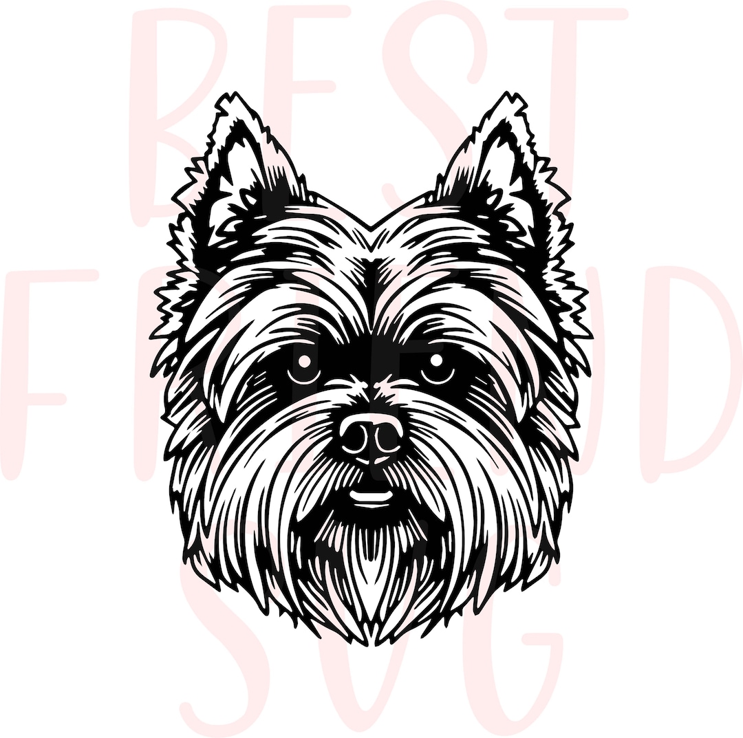 Yorkshire Terrier Svg, Dog Svg, Instant Download, Png, Dxf, Eps, Svg ...