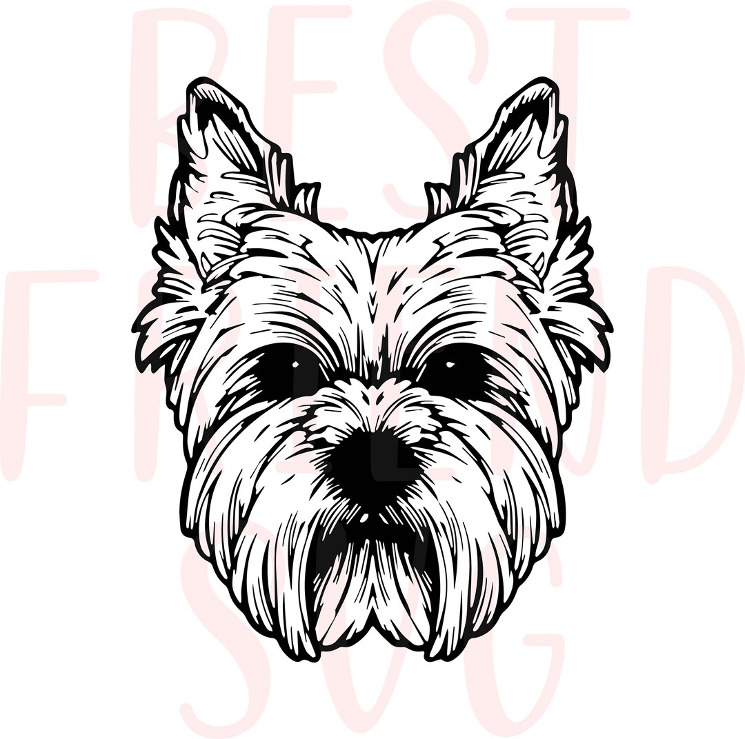 Yorkshire Terrier Svg, Dog Svg, Instant Download, Png, Dxf, Eps, Svg ...