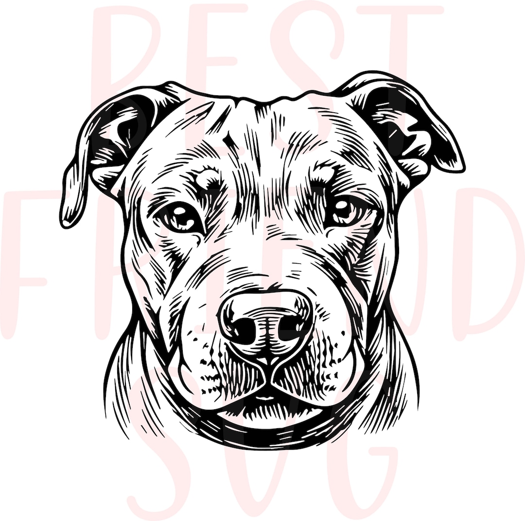 Pitbull Svg, Dog Svg, Instant Download, Png, Dxf, Eps, Svg Cricut ...
