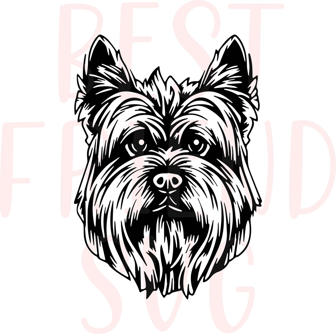 Yorkshire Terrier Svg, Dog Svg, Instant Download, Png, Dxf, Eps, Svg ...
