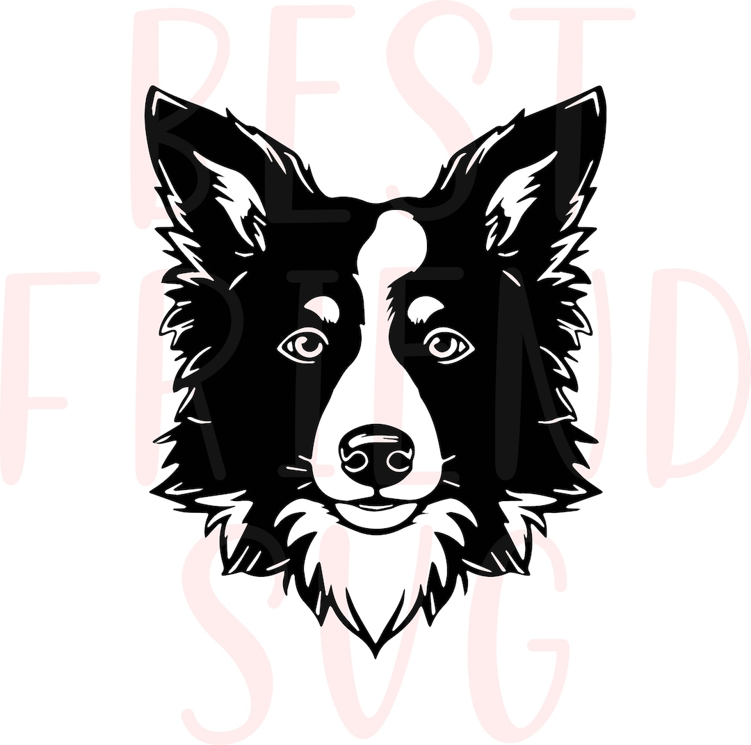 Border Collie Svg, Dog Svg, Instant Download, Png, Dxf, Eps, Svg Cricut ...