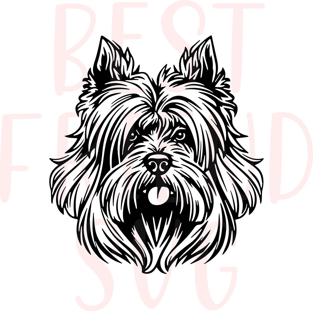 Yorkshire Terrier Svg, Dog Svg, Instant Download, Png, Dxf, Eps, Svg ...