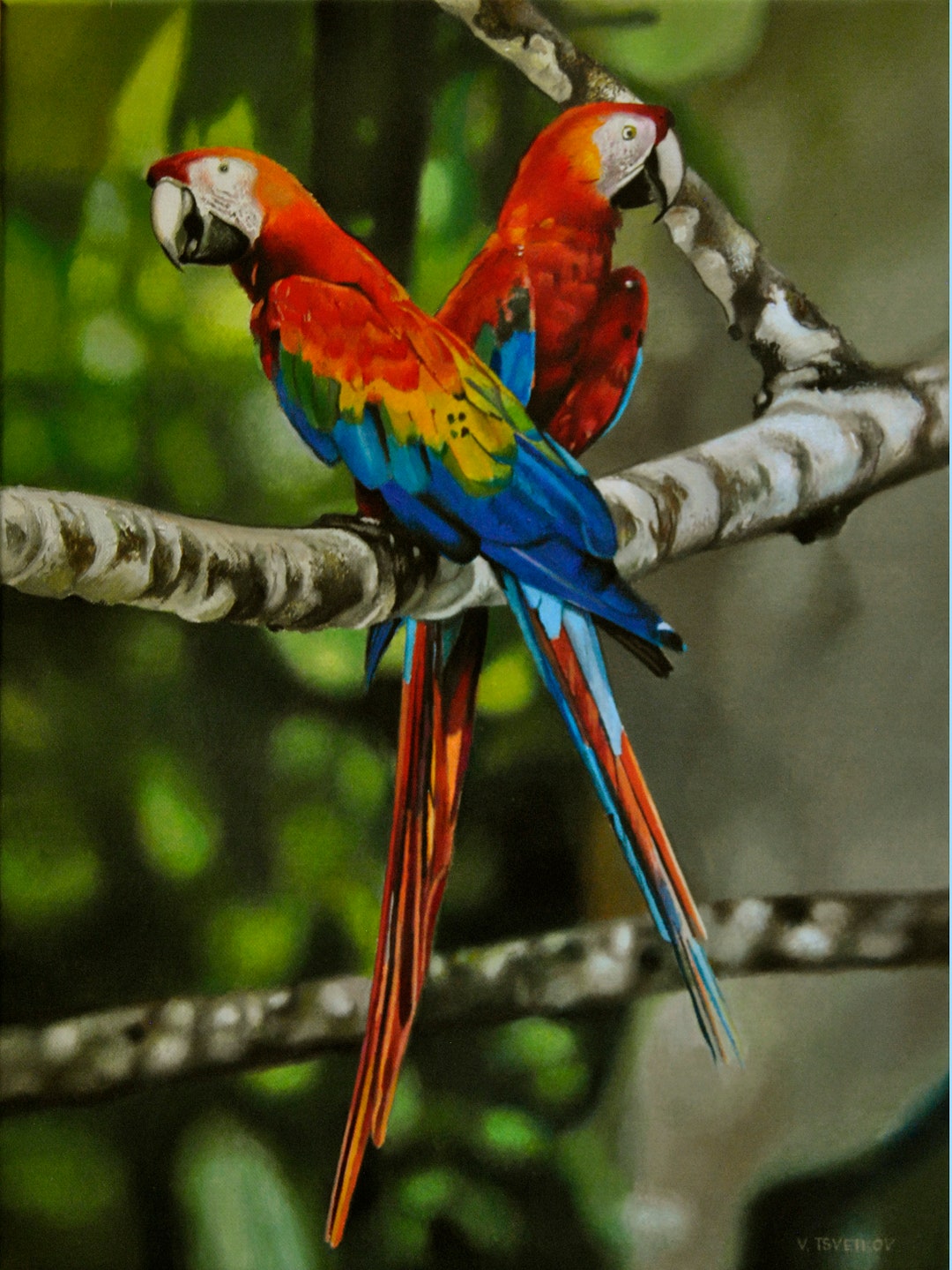 Hand-painted Hyperrealism Parrot Painting, Colorful Bird Oil Painting ...