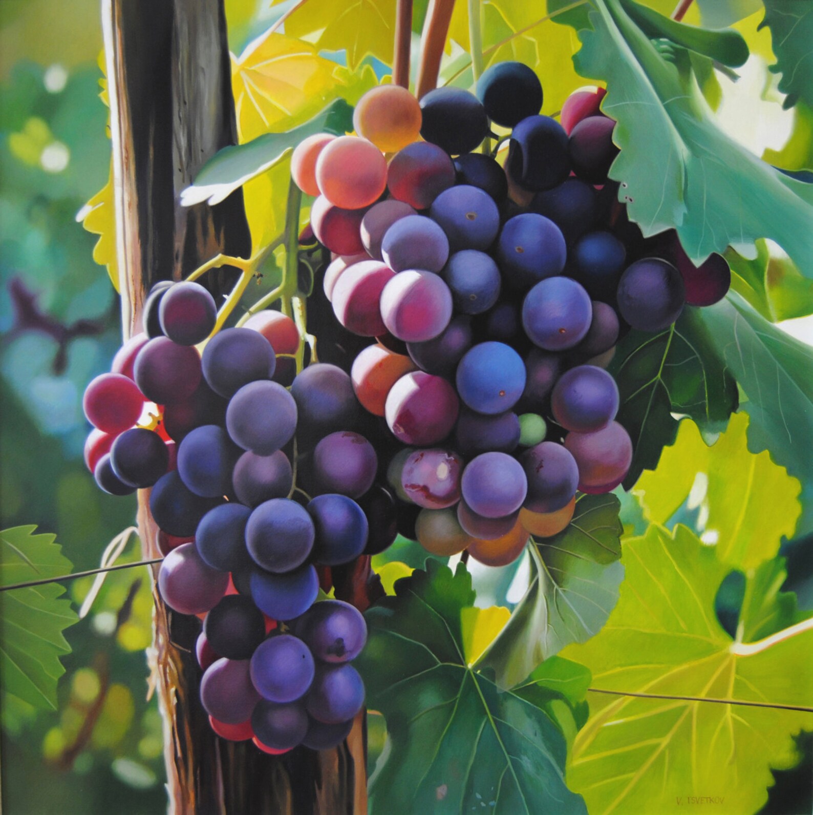 Grapes, Oil on Canvas, Food Painting, Fruit Painting, Original and ...