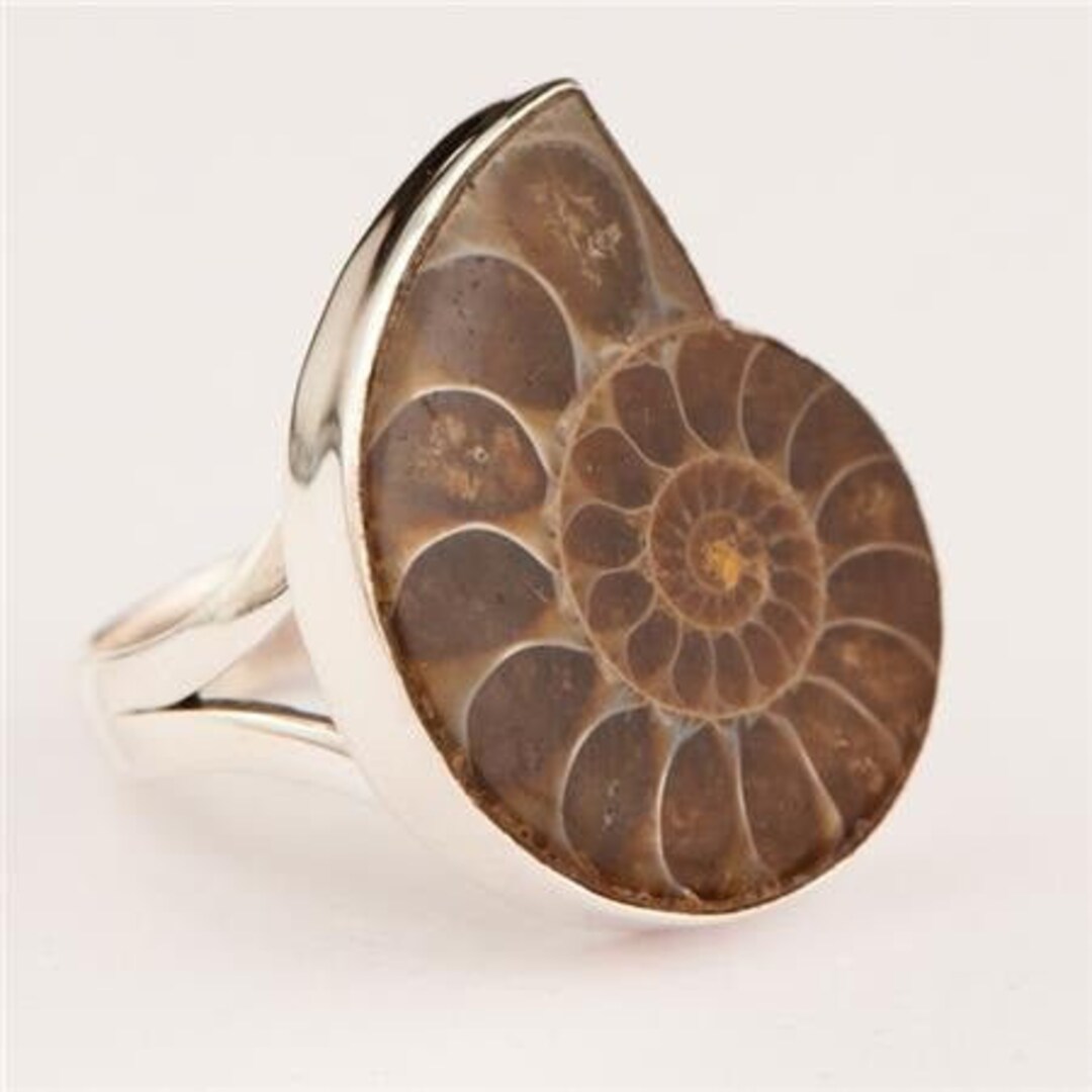 Ammonite Ring - Fossil Jewelry - Tribal Jewelry - Ethnic Jewelry ...