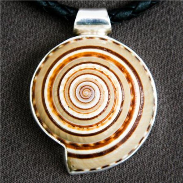 Snail Shell Necklace - Etsy