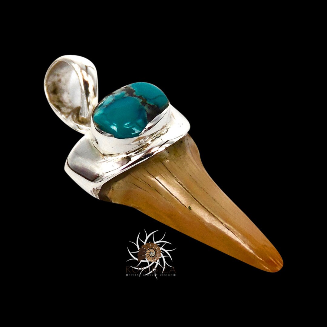 Shark Tooth Pendant With Turquoise - Tribal Jewelry - Shark Tooth ...