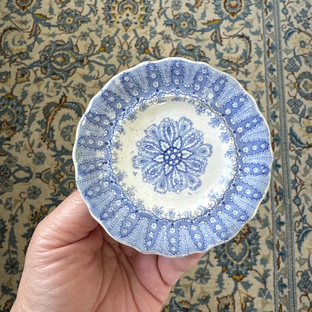 19th Century Charles Meigh Doric Star Blue and White Butter Pat - Etsy