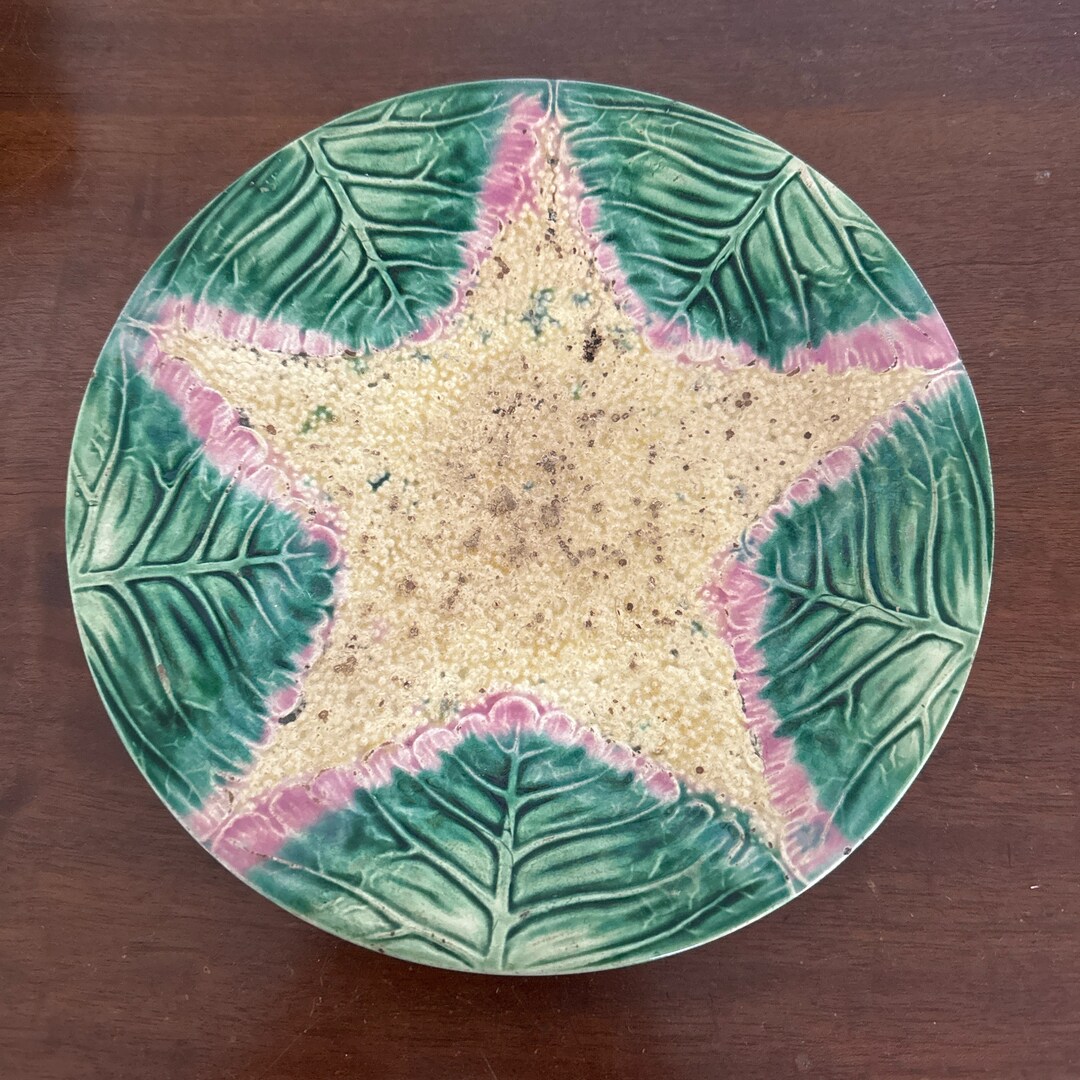 Antique Etruscan Cauliflower Star Majolica 9 Inch Plate - Etsy