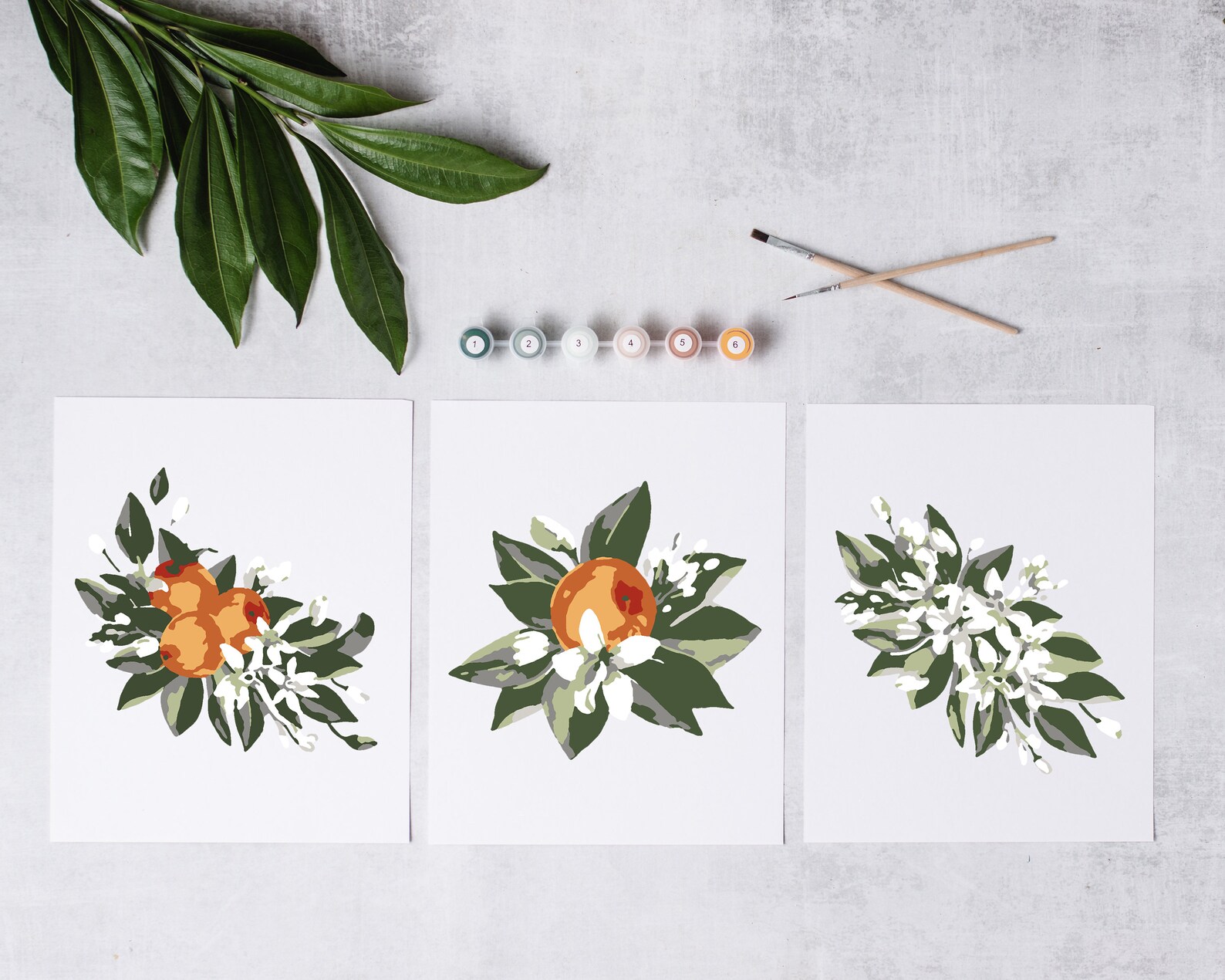 Orange Blossom Paint by Number Kit/color by Number Kit/mothers - Etsy