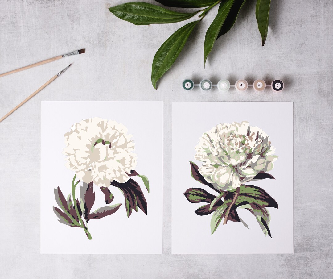 Peony Blossom Paint by Number Kit/color by Number Kit/custom Paint by ...