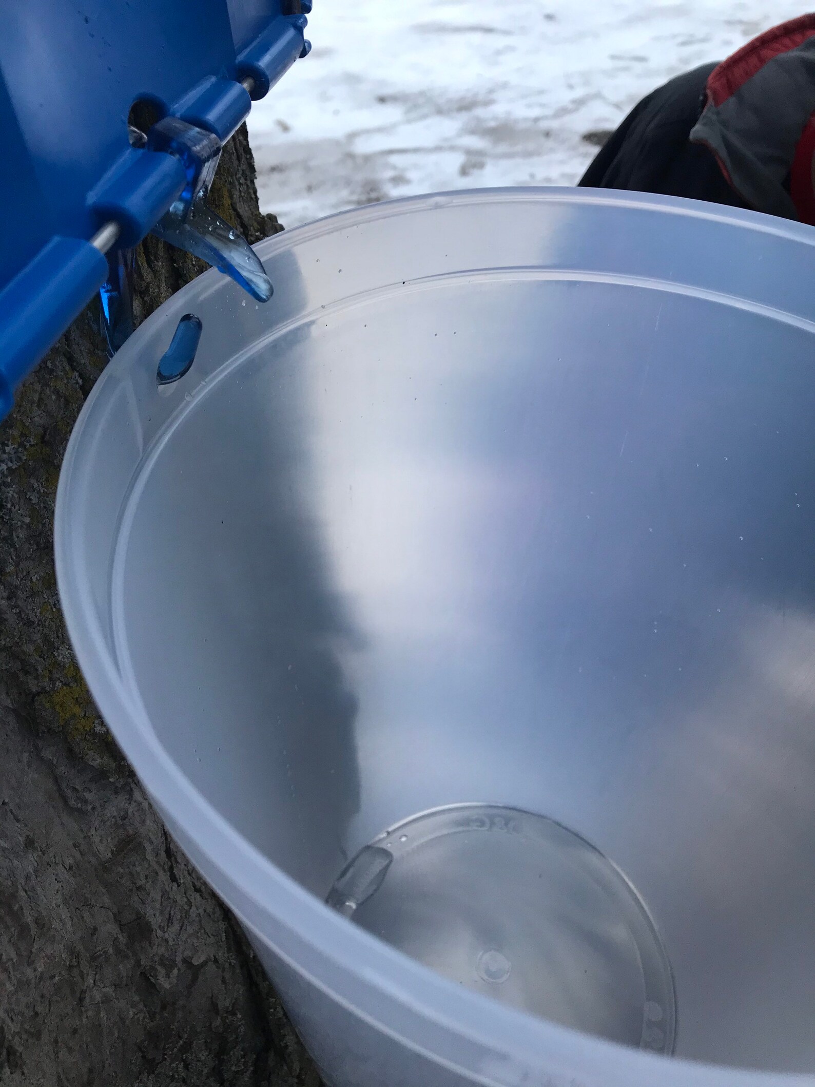 20 Maple Syrup Wedding Favorsbridal Shower Favorslove is - Etsy