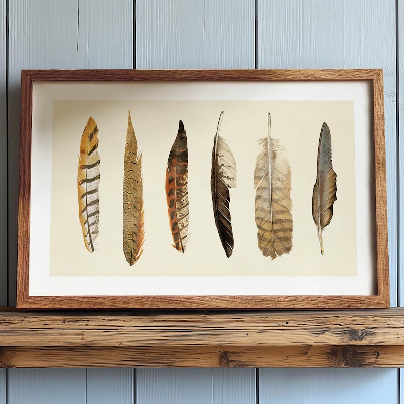Feather Prints Wall Art - Etsy
