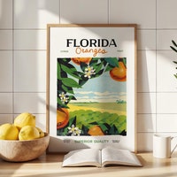 Florida Oranges - Etsy