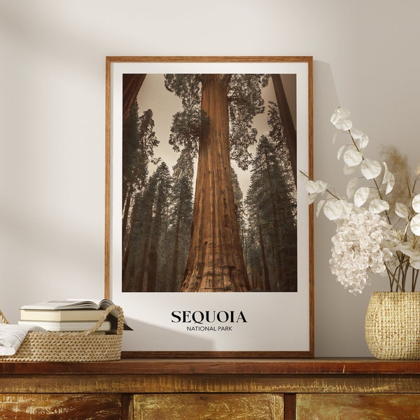 National Park Sequoia Wall Art - Etsy