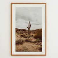 Arizona Desert Set of 3 Fine Art Prints - Saguaro Cactus 3 Piece Wall ...