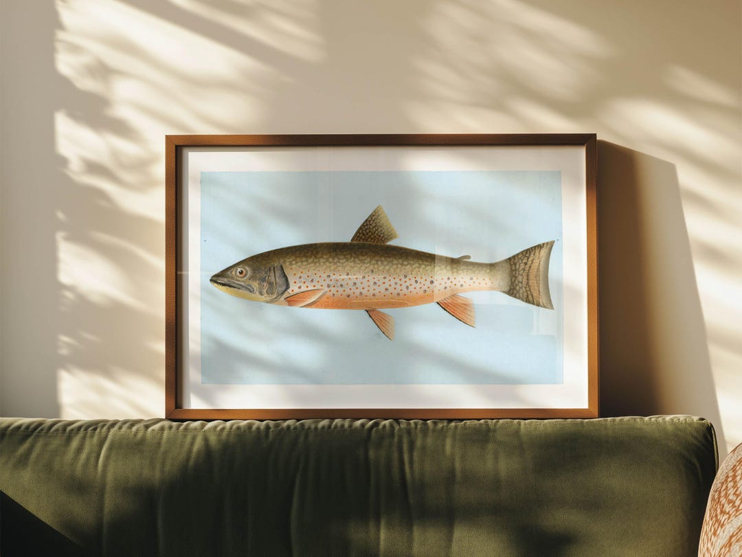 Retro Trout Print Outdoors Art Trout Fishing Poster Outdoorsy Wall ...