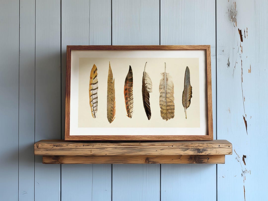 Retro Feathers Print Outdoors Art Bird Feathers Poster Outdoorsy Wall ...