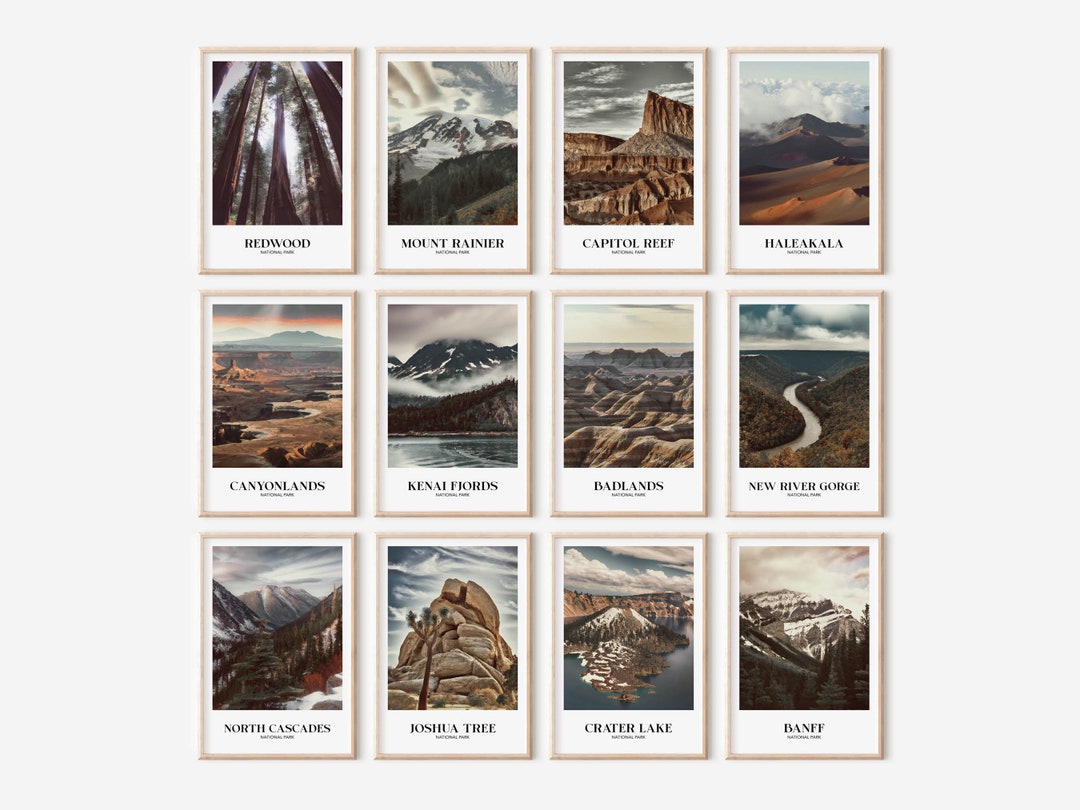 Any 4 National Park Posters Set of 4 Country Travel Prints Rustic ...