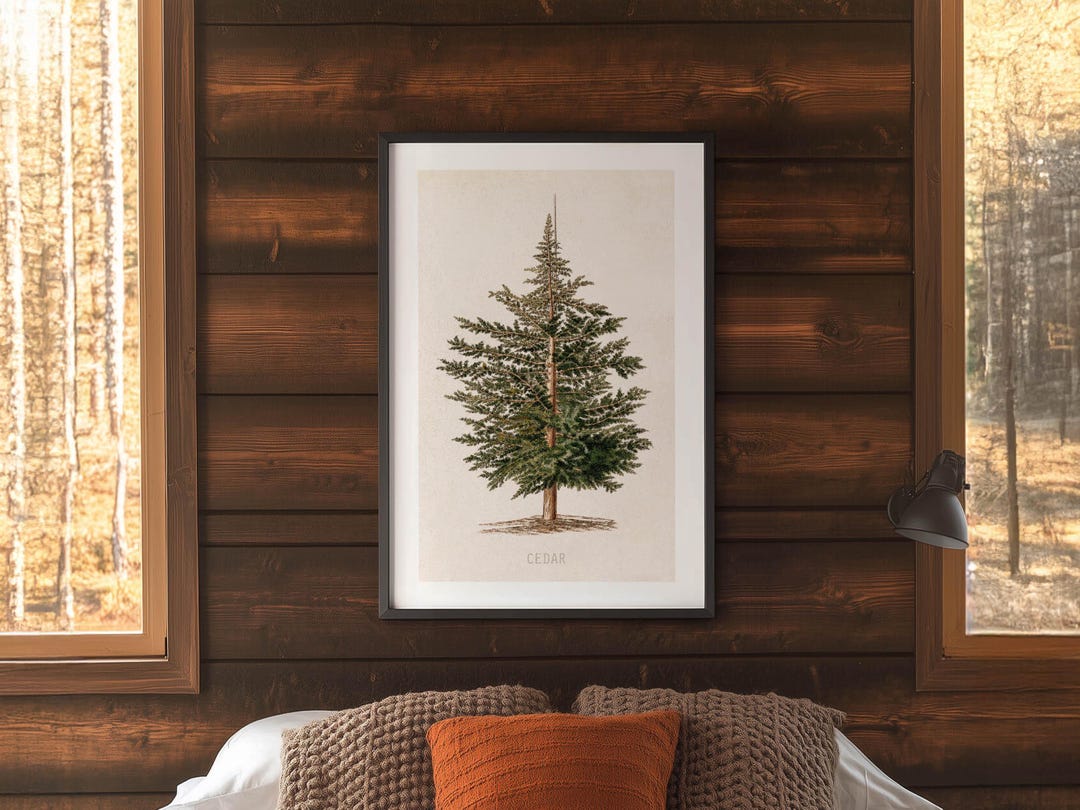 Retro Cedar Tree Print: Rustic Outdoors Art, Lake House Decor - Etsy