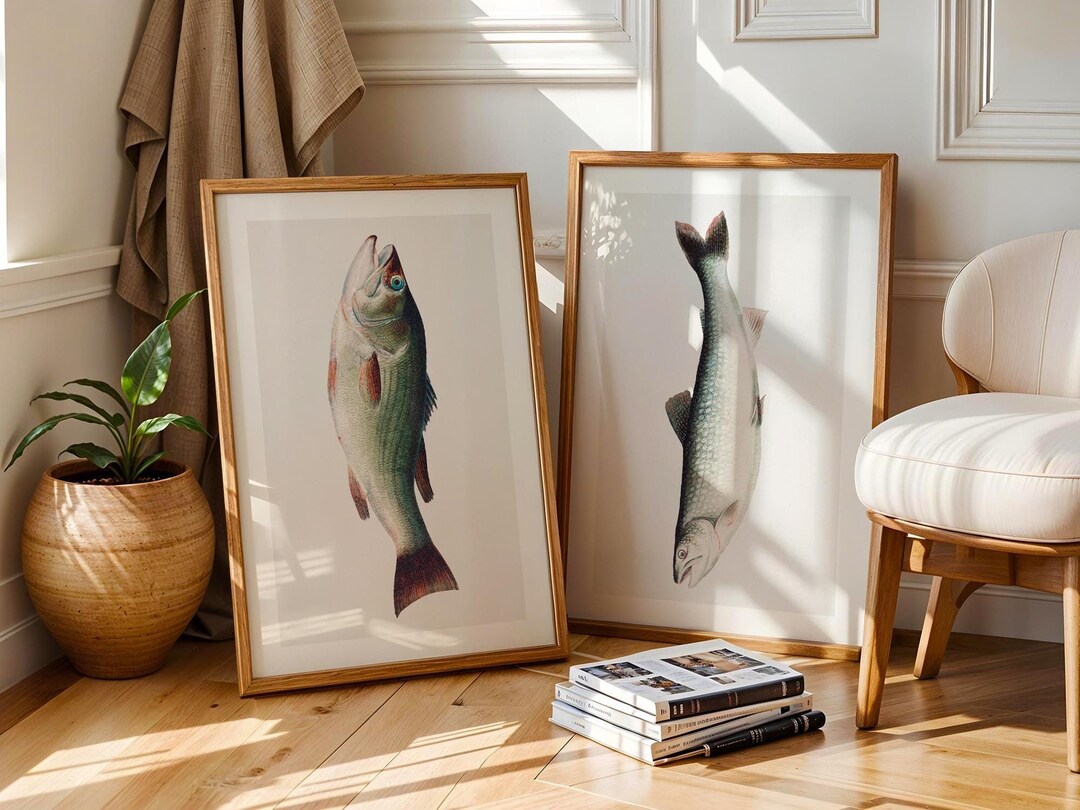 Vintage Fish Prints Retro Fishing Art Trout + Bass Poster Set of 2 Fish ...