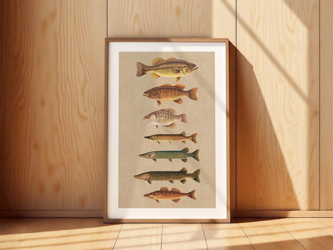 Fishing Art Retro Fish Print Gift for Fisherman Outdoors Art Fish ...