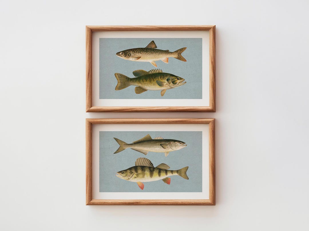 Retro Fish Prints Outdoors Art Fishing Posters Set of 2 Outdoorsy Wall ...