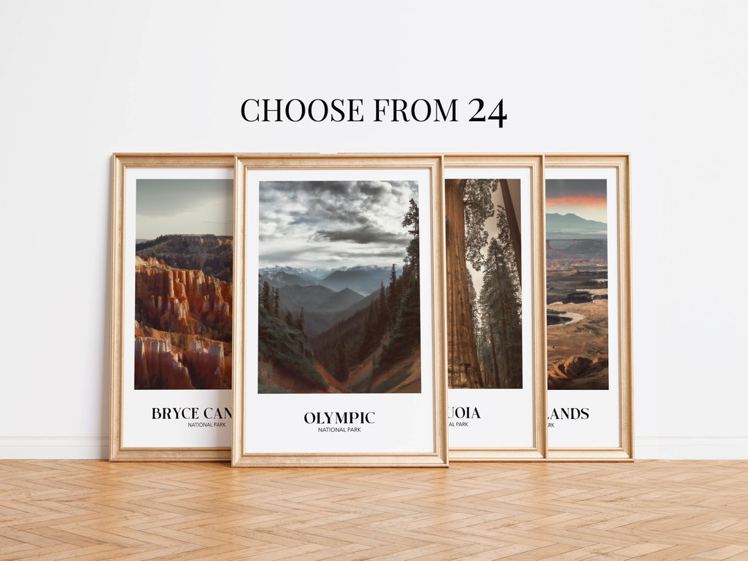Any 4 National Park Posters | Set of 4 | Country Travel Prints | Rustic ...