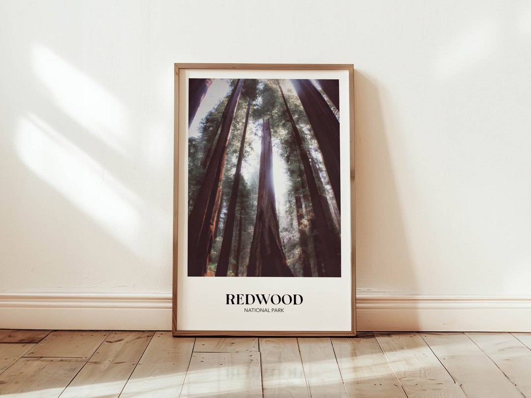 Rustic Redwood National Park Poster | Country Travel Print | Midcentury ...